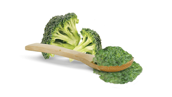 Comitrol® Processor Model 1700 Machine - Urschel