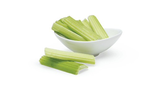 TranSlicer® 2520 Cutter - Urschel Laboratories