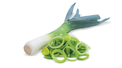 TranSlicer® 2520 Cutter Machine - Urschel