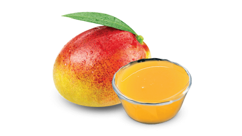 Comitrol® Processor Model 1500 - Urschel Laboratories