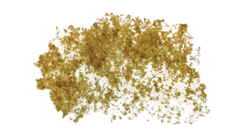 Comitrol® Processor Model 1500 - Urschel Laboratories