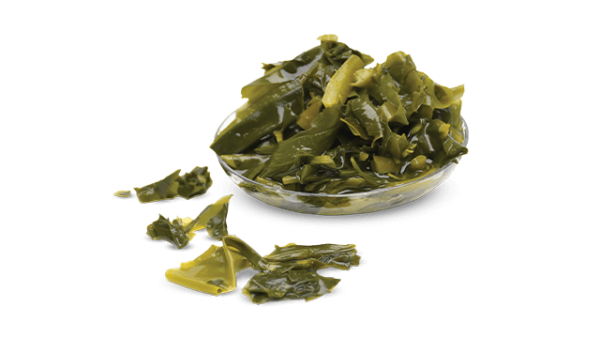 Seaweed Cutting Machines & Equipment - Urschel