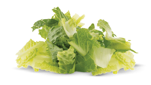 Lettuce Cutting Machines & Equipment - Urschel