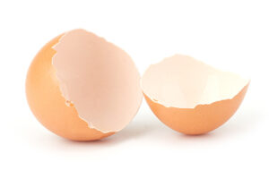 Egg Shells Cutting Machines & Equipment - Urschel