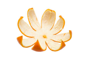 Orange Peel Cutting Machines & Equipment - Urschel